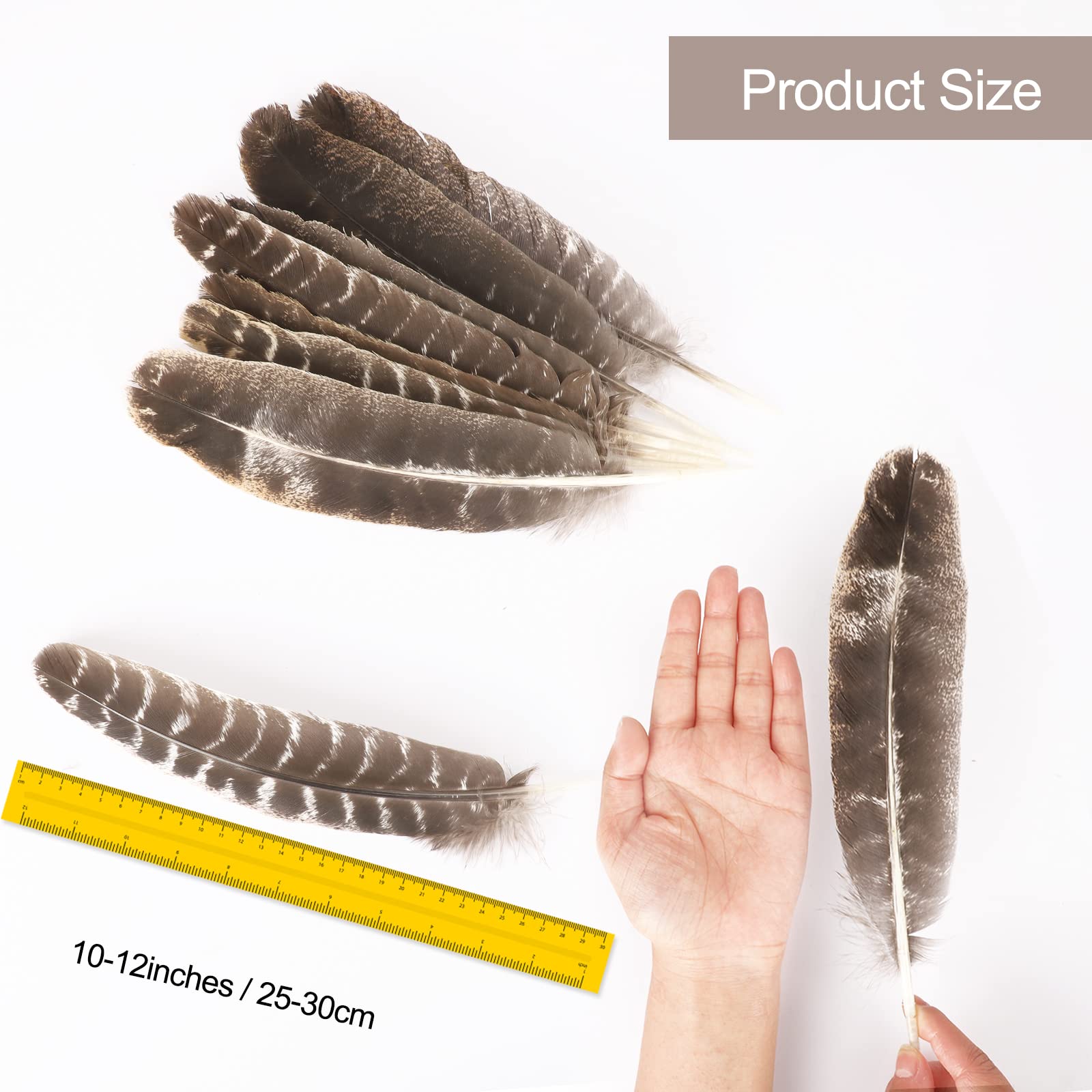 Outuxed 15pcs Natural Turkey Feathers for Crafts, 10-12 Inches Large Feathers for Hat Floral DIY Home Wedding Party Decoration Collection