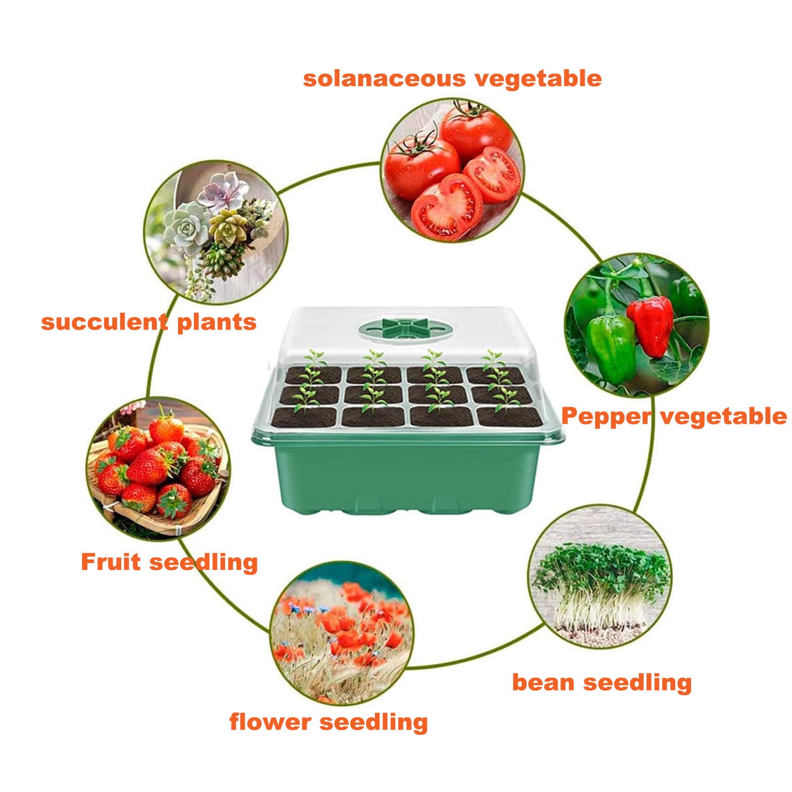 MYLTW 5 Pack Seed Starter Tray Seedling Tray Kits,Adjustable Humidity Plant Starter Dome and Base Greenhouse Grow Trays for Seeds Growing Starting(12 Cells Per Tray