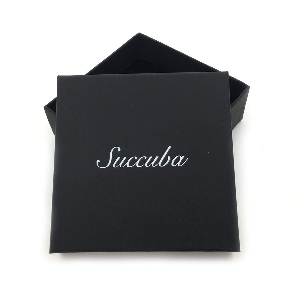 Succuba Padlock Necklace Chain Collar Choker with Two Keys and Box for Women, Men and Pet 24 Inches (D, 24)