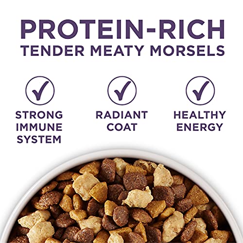 Purina ONE High Protein Dry Senior Dog Food Plus Vibrant Maturity Adult 7 Plus Formula - 31.1 lb. Bag