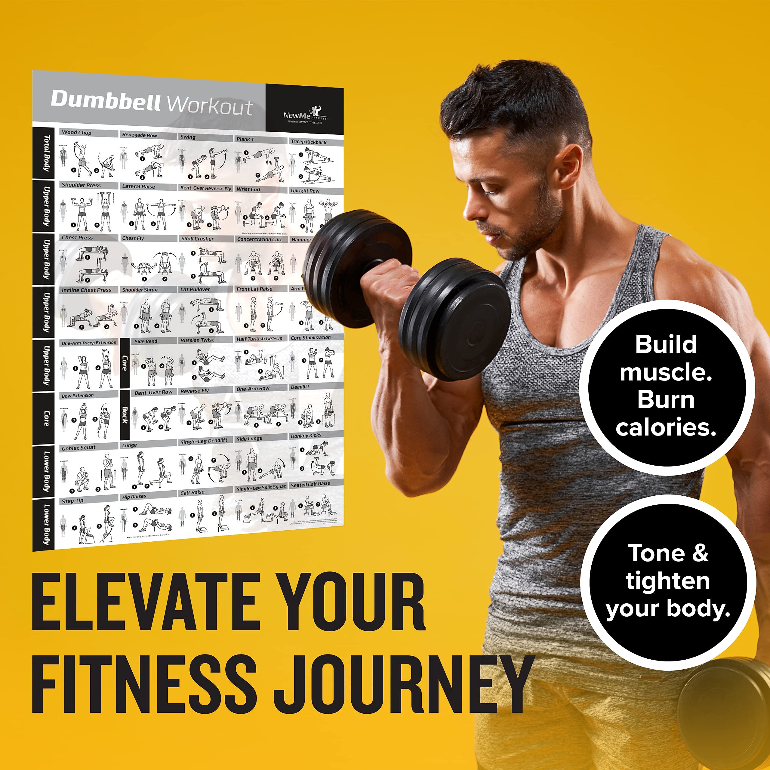 NewMe Fitness Workout Posters for Home Gym, Dumbbell Exercise Posters for Full Body Workout, Core Abs Legs Glutes & Upper Body Training Program (Vol 1)