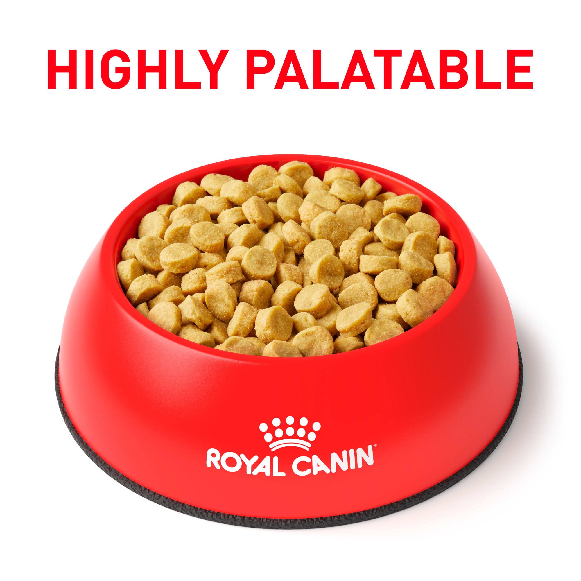 Royal Canin Canine Vegetarian Dry Dog Food, 17.6 lb