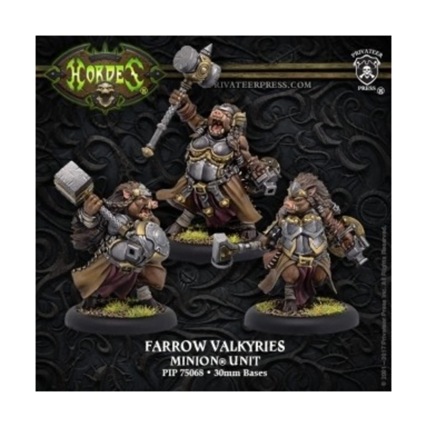 Privateer Press Farrow Valkyries: Minion Unit (3) (Resin/Metal) Miniature Game Figure