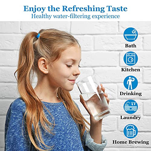 Vegebe 150 GPD RO Membrane Filter 12"x2" Reverse Osmosis Membrane Element Replacement Fits Under Sink RO Drinking Water Filter Filtration Purifier System, 1 Pack