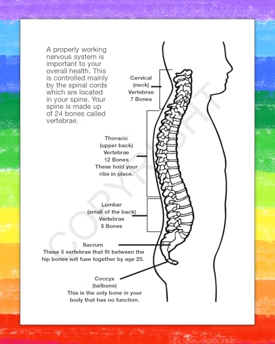 ZoCo - A Visit to The Chiropractor's Office - Educational Coloring Books (50 Bulk Pack, Without Crayons) - Chiropractor Supplies - Activities for Kids