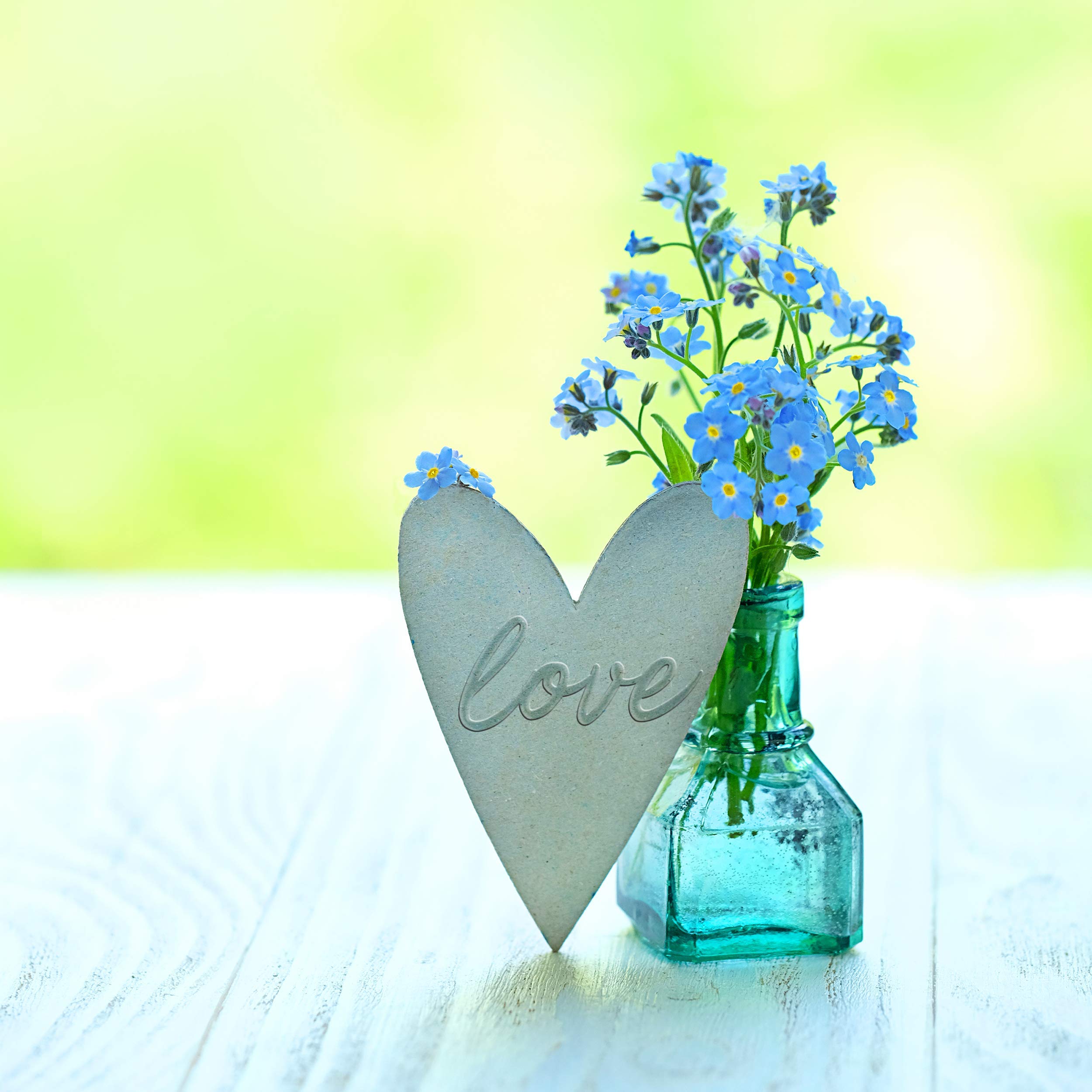 TAMI Silver Earrings with Real Blue Forgetmenot and 18, Heart Pressed Flower Jewelry