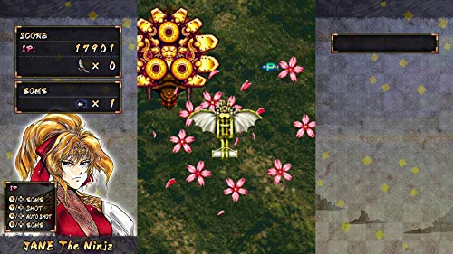 Psikyo Shooting Stars Bravo Limited Edition (Switch) (Nintendo Switch)