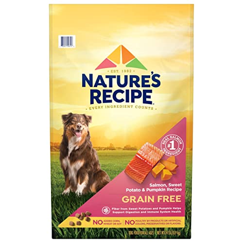 Natureās Recipe Grain Free Salmon, Sweet Potato & Pumpkin Recipe Dry Dog Food, 24 lb. Bag