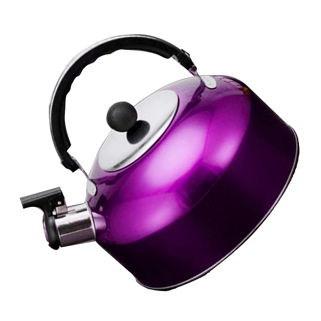 TTKL Stainless Steel Whistling Coffee Tea Kettle Camping Boat Water Pot & Handle