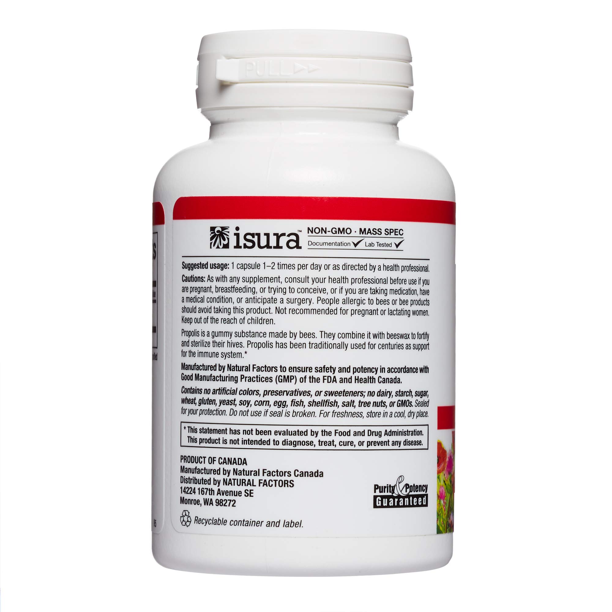 Natural Factors, Bee Propolis Extract 500 mg, Supports a Healthy Immune System, 90 capsules (90 servings)