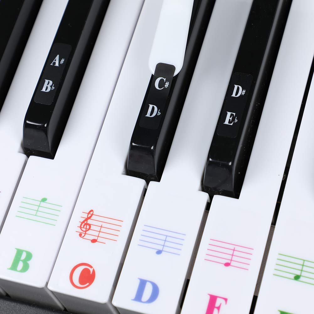 Piano Keyboard Stickers for 88/61/54/49/37 Key. Colorful Large Bold Letter Piano Stickers Perfect for kids Learning Piano. Multi-Color,Transparent,Removable
