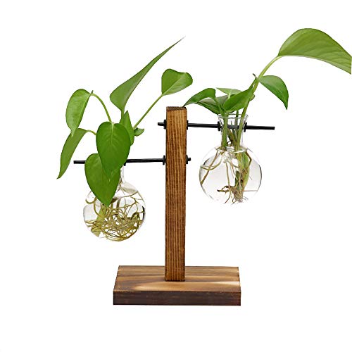 NEWCOMDIGI Glass Vase Flora, Desktop Glass Planter Vase, Glass Vase Different Sizes with Retro Solid Wood Stand Hydroponic Plants Home Garden Wedding Decor (B)