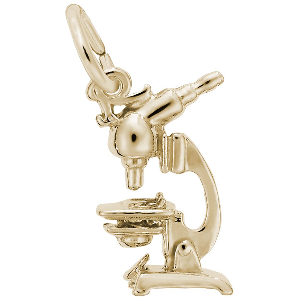 Rembrandt Charms Gold Plated Sterling Silver Microscope Charm Pendant