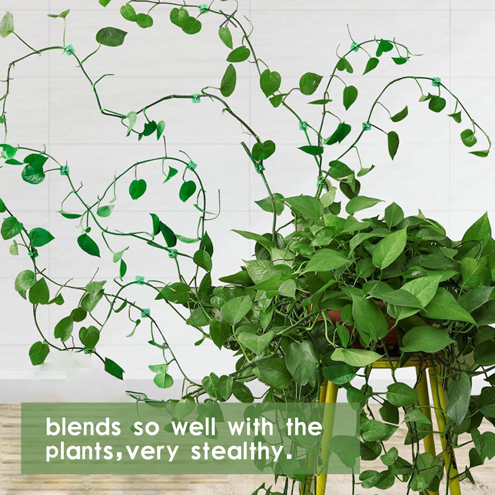 Revylink 100Pcs Plant Clips for Vines Wall Plant Clips for Climbing Plants Training Sticky Hooks Hanging Plants Climbing Wall Fixture Clips Plant Climber Vine Plant Support Green