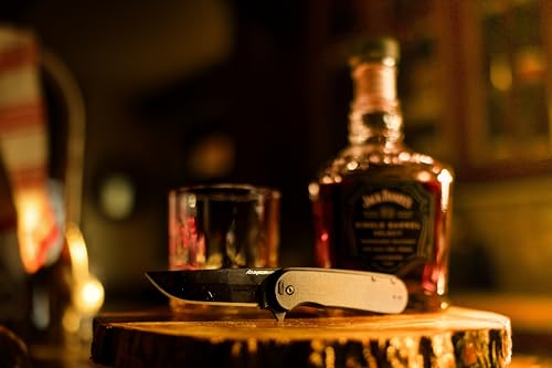 OUTDOOR EDGE RAZOR VX3 | Replaceable Blade EDC Flipper Folding Pocket Knife | 3" Blade, Ball Bearings, Black G-10 Stainless Steel Handle, Reversible Pocket Clip | Outdoor, Camping, Survival, Utility