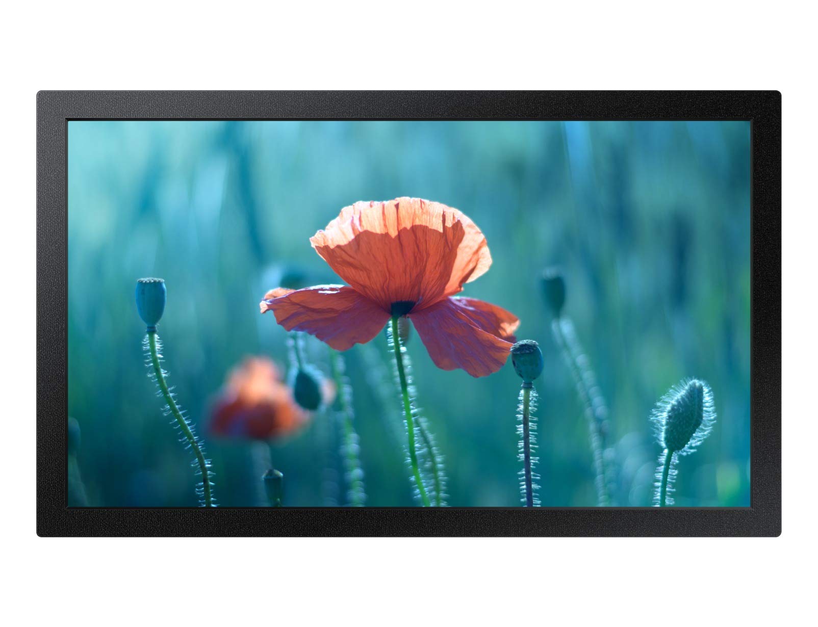 Samsung QB13R - Edge-Lit LED Small Signage Display