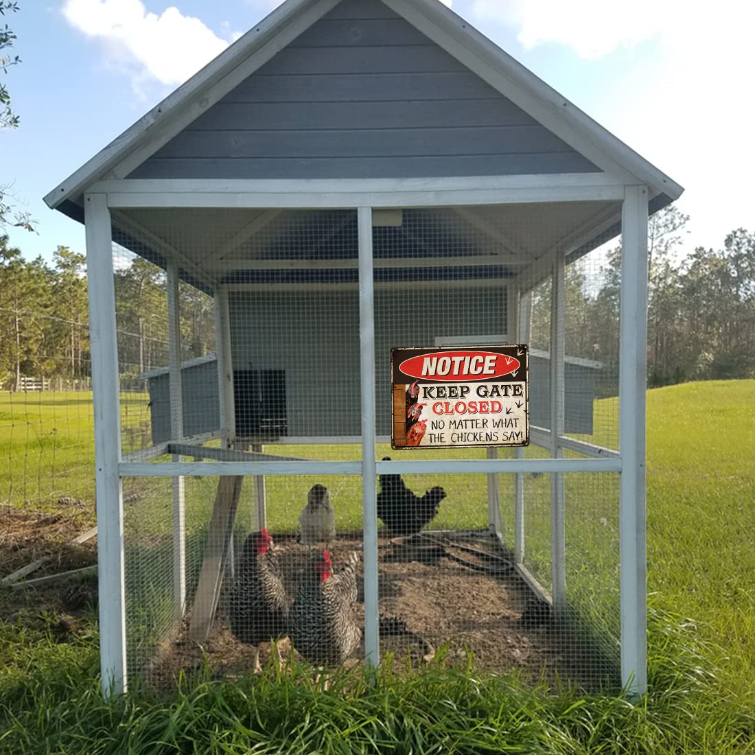 Warning Chicken Signs For Coop Funny Outdoor - Keep Gate Closed No Matter What The Chickens Say Aluminum Rust Free 9" X 11", Pre-Drilled Holes, Weather Resistant