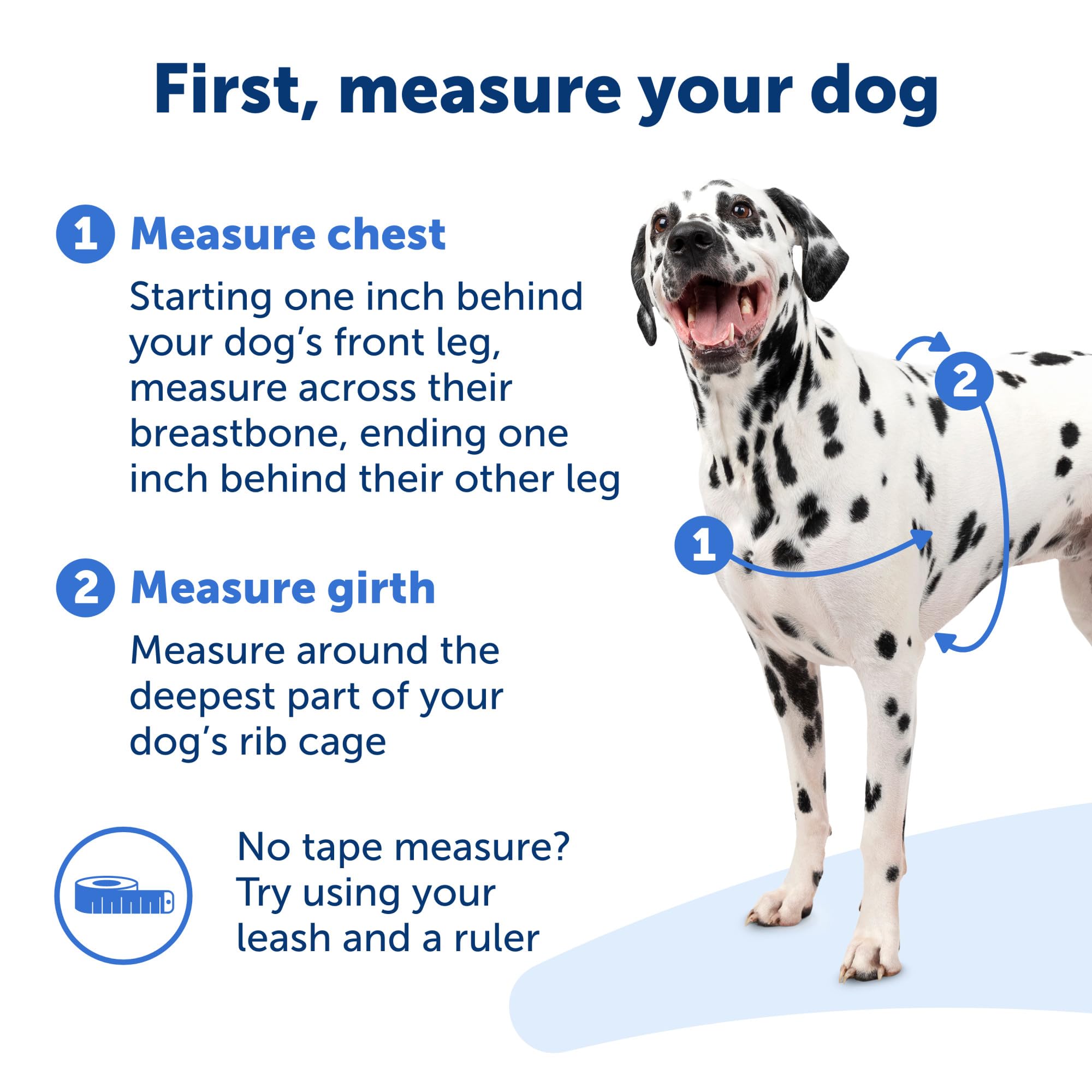 PetSafe Easy Walk Dog Harness - No Pull Dog Harness - Small, Apple Green