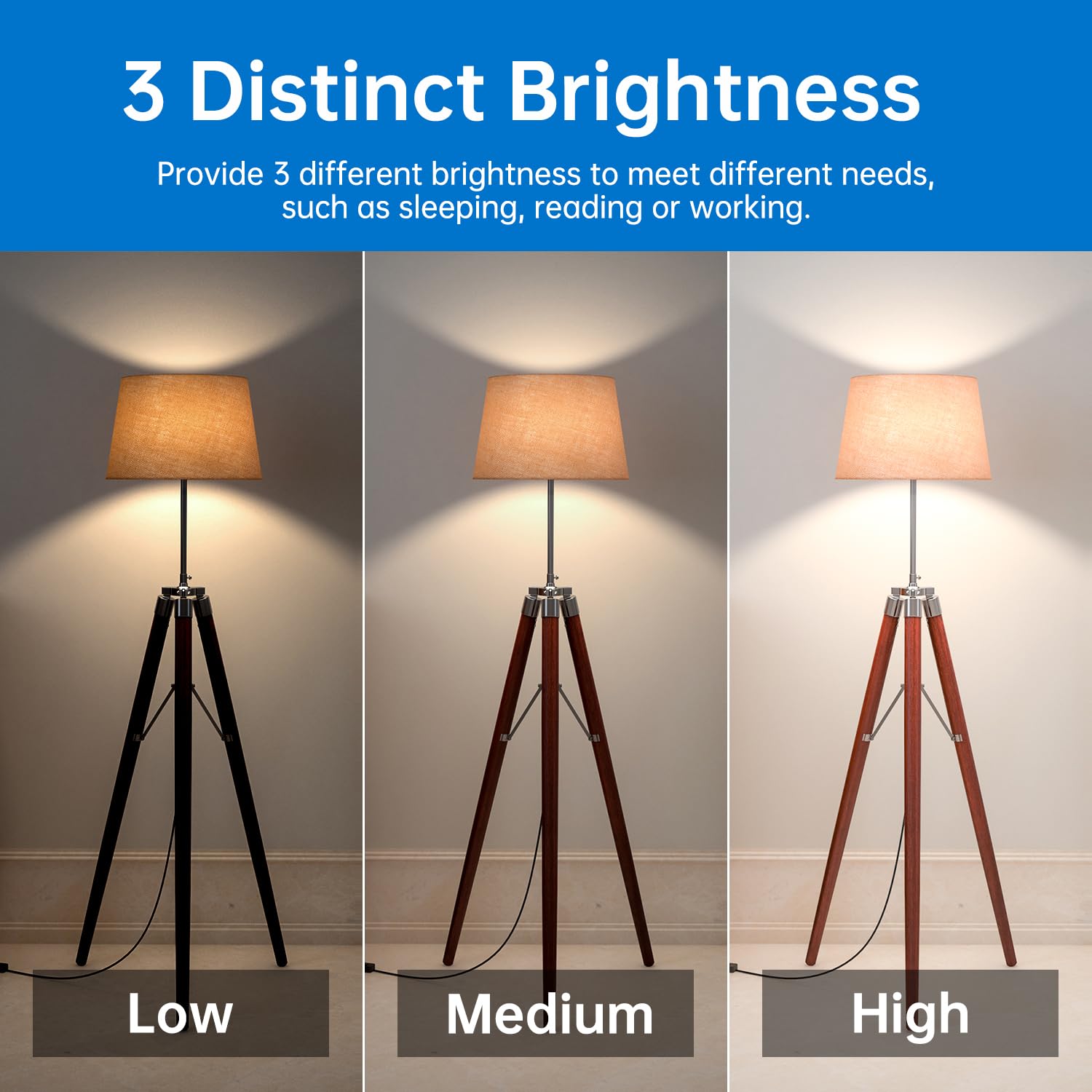 Noger 3-Way Led Light Bulbs A21, 50 100 150W Equivalent, 5000K Daylight, 3 Way E26 Light Bulbs for Reading, 500-1600-2200LM, 2 Pack