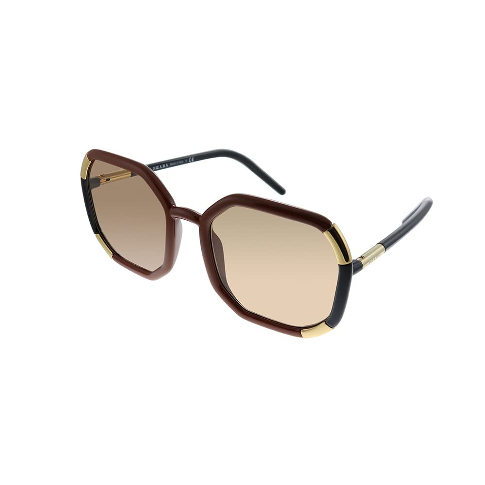 Prada PR 20XS 03F1P1 Brown/Gold/Black Plastic Square Sunglasses Brown Lens