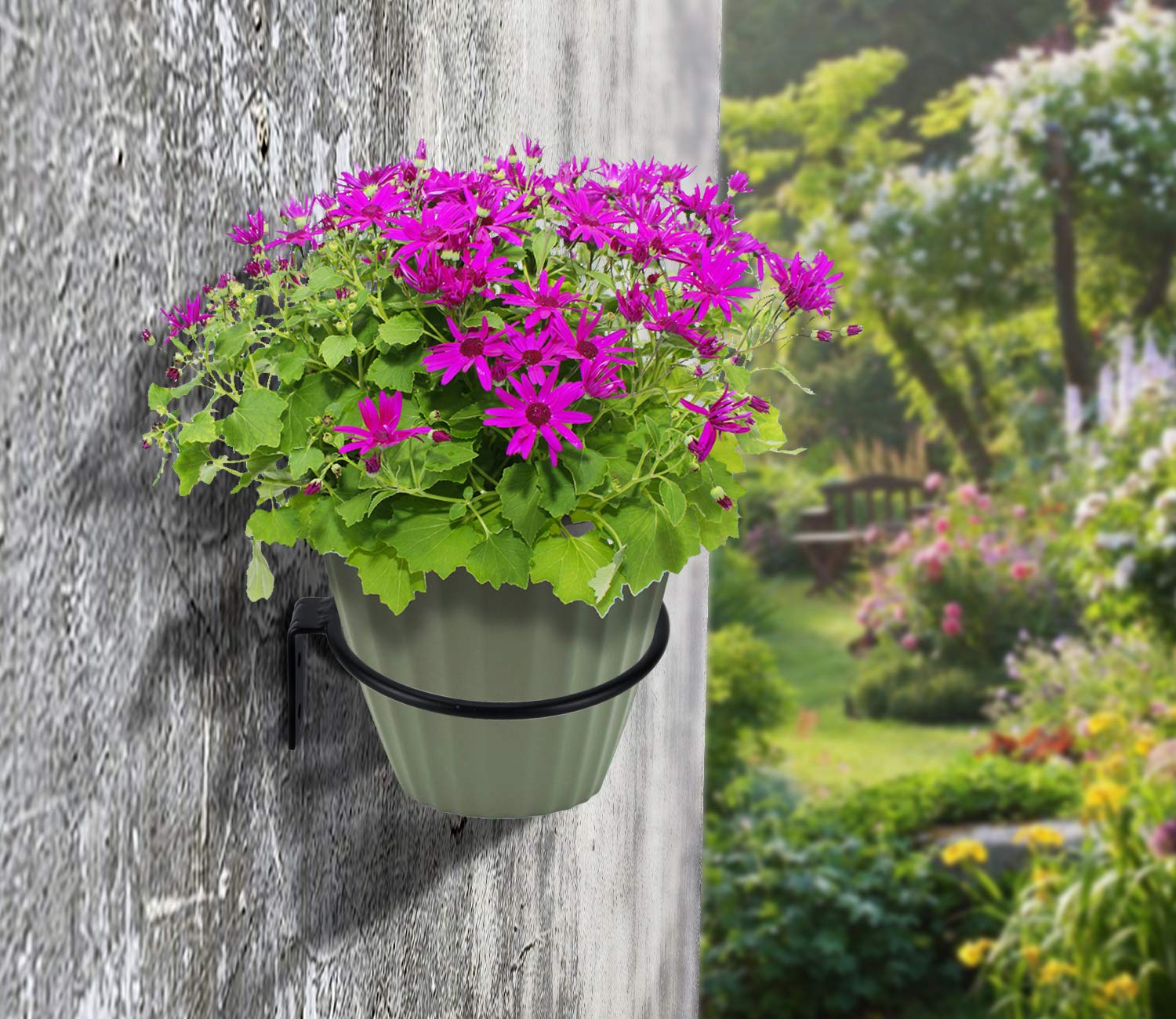 TQVAI 6 inch Flower Pot Holder, Wall Planter Ring Hanger, Wall Mounted Pot Hook Bracket, 6 Pack, Black
