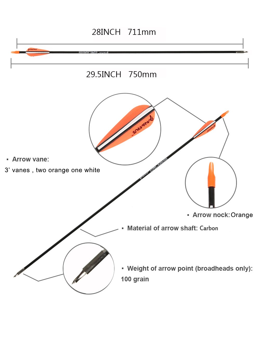 PANDARUS Archery 28" Fiberglass Archery Target Practice Arrows, for Children, woman or Beginner, for Recuve Bow(Pack of 12) …