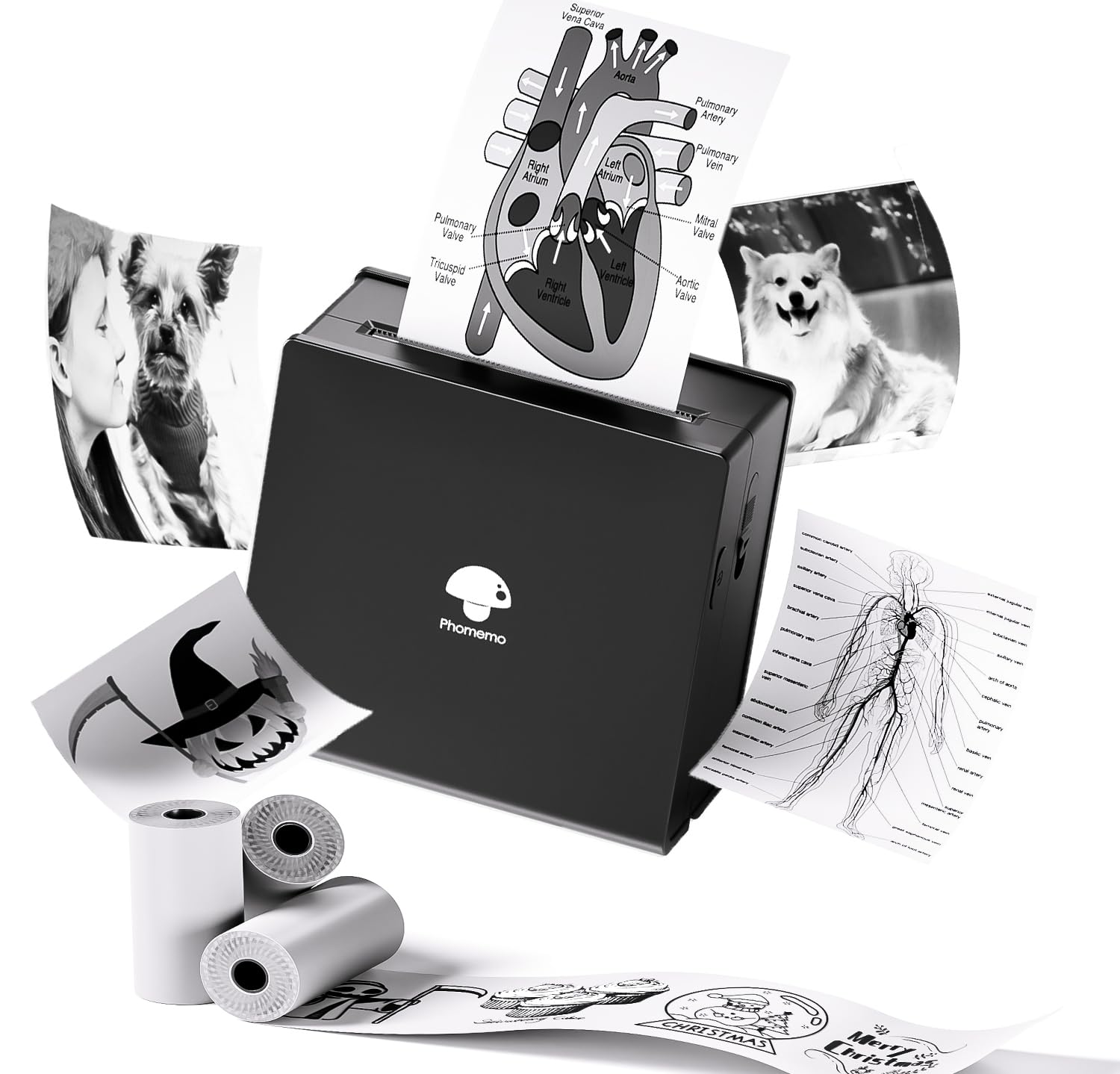 Phomemo Label Maker Printer Machine, M02 Mini Portable Printer, Thermal Inkless Sticker Printer, Pocket Portable Printer, Multifunction for Journal, Photo, Work Plan, Meeting Notes, Gift