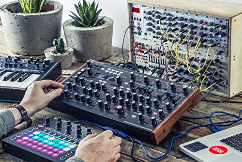 Novation Peak 8-Voice Desktop Polyphonic Synthesiser with 2 LFOs per voice, 16-slot modulation matrix, 3 analogue distortion points, and digital effects