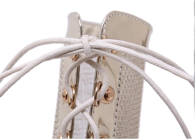 Purubylley Women's High-heeled Open-toe Hollow Mesh Boots,fish Mouth Dress Stylish Zipper Closure Sandals,Latin Dance Boots Performance Training Shoes (gold,6)