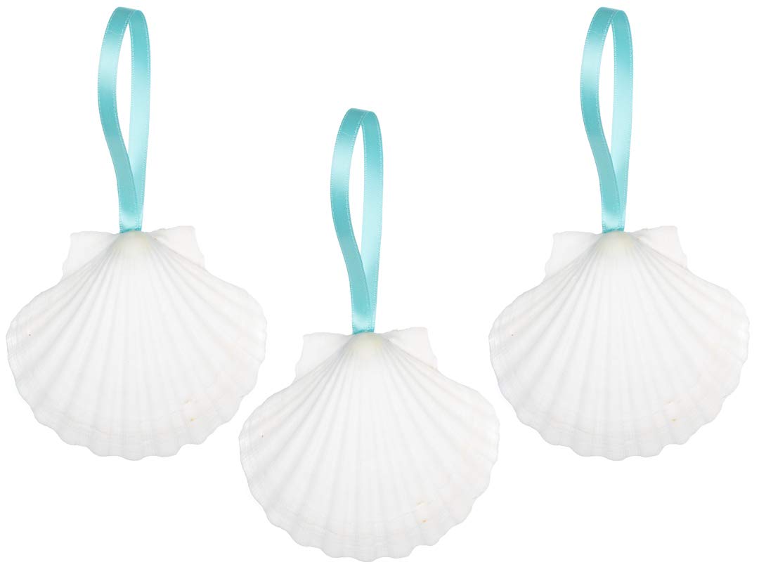 Shell Ornaments | White Seashell Christmas Ornaments for Tree | Hanging Shells w/Turquoise Ribbon | Plus Free Nautical eBook by Joseph Rains (Irish Deep 3 Pack)