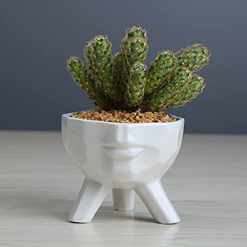 YONGYAN Face Shape Flower Pot Statue Decoration Ceramics Garden Head Planters Containers Pot Bookshelf Office Desktop Decor
