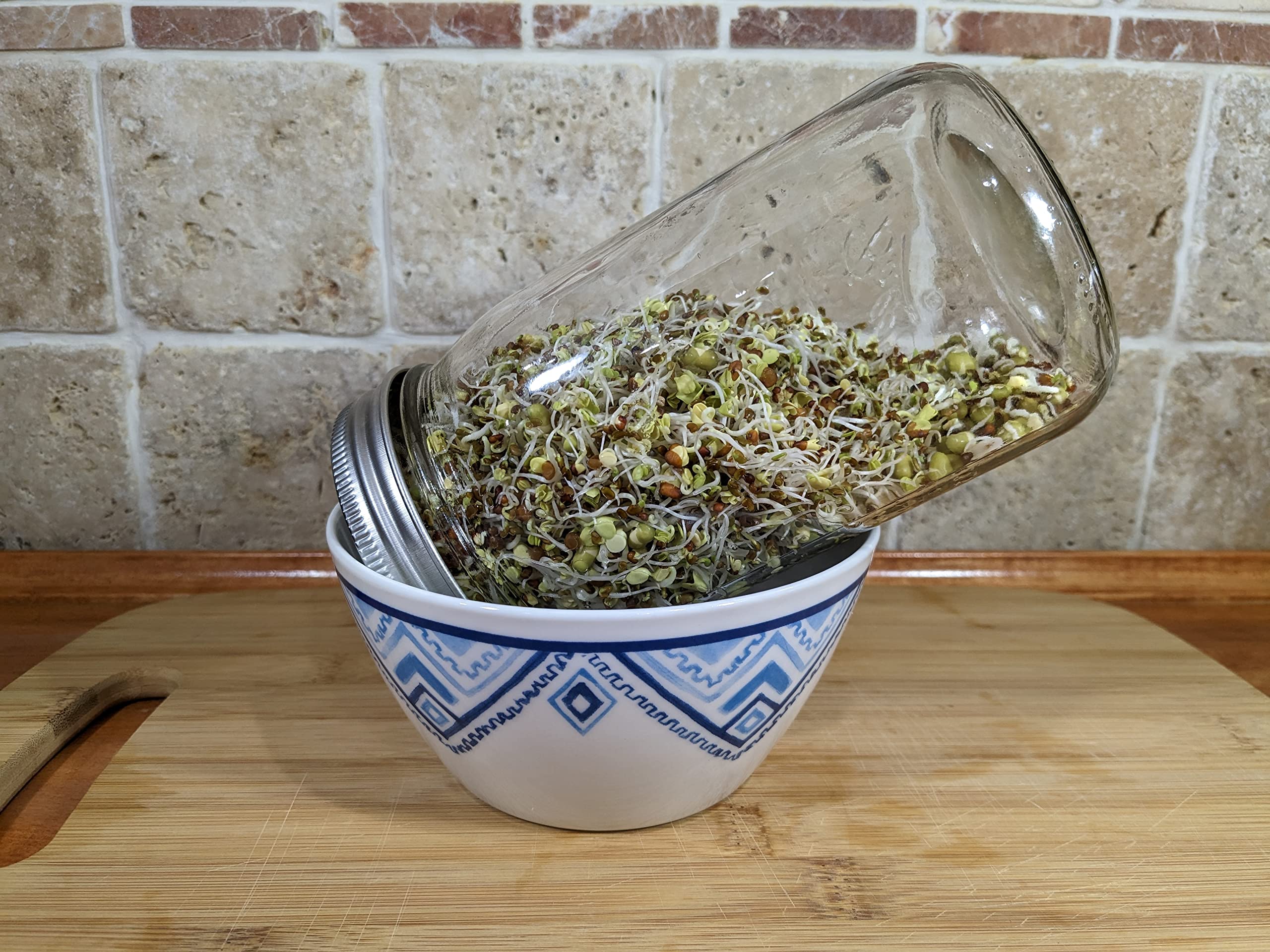 Variety Pack Sprouting Seeds Broccoli, Alfalfa, Radish, Mung beans & Salad Mix for Sprouts and Microgreens. Non-GMO. Pack of 10 premeasured seeds for quart size jars or trays. Includes 2 packs of each