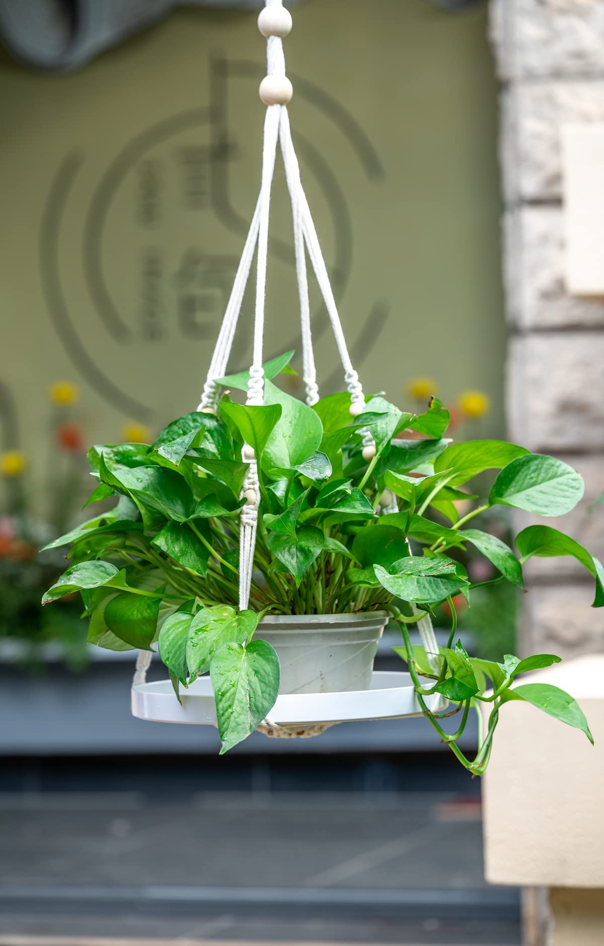 UL Source Macrame Planter Hanger with Large Tray 100% Handmade Wall Hanging Plants Bracket for Indoor Plants Home Decor Gift