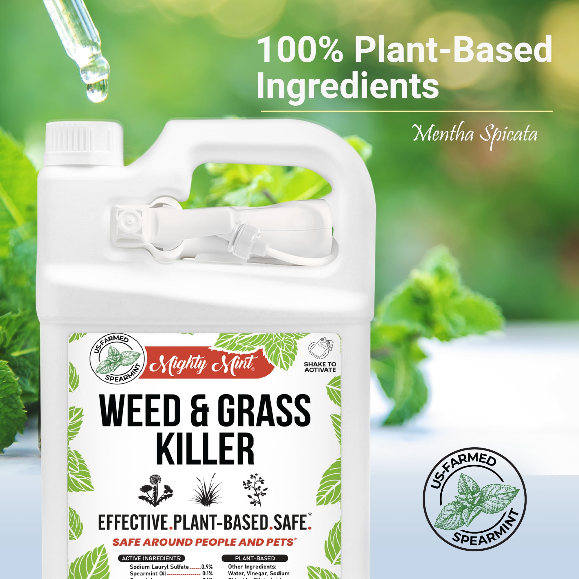 Weed & Grass Killer β Natural Vinegar & Salt Weed Killer β 1 Gallon - Glyphosate Free