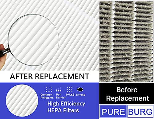 PUREBURG HPAF60 True HEPA Replacement Filter Set Compatible with Holmes Filter B Fits HPAF60 HAPF600 HAPF60 HAPF600D-U2 HAP8650B HAP8650B-NU Biaonaire GE 106633 Air Purifiers