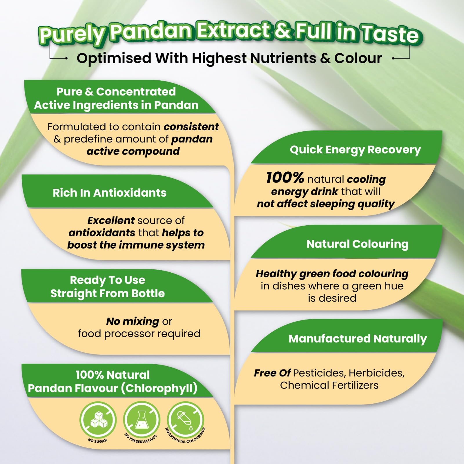 Pandan Extract Concentrate for Bakery & Beverage 60g | Standardized Plant Extract of the East, Fresh Natural Asian Gourmet Flavoring Ingredient