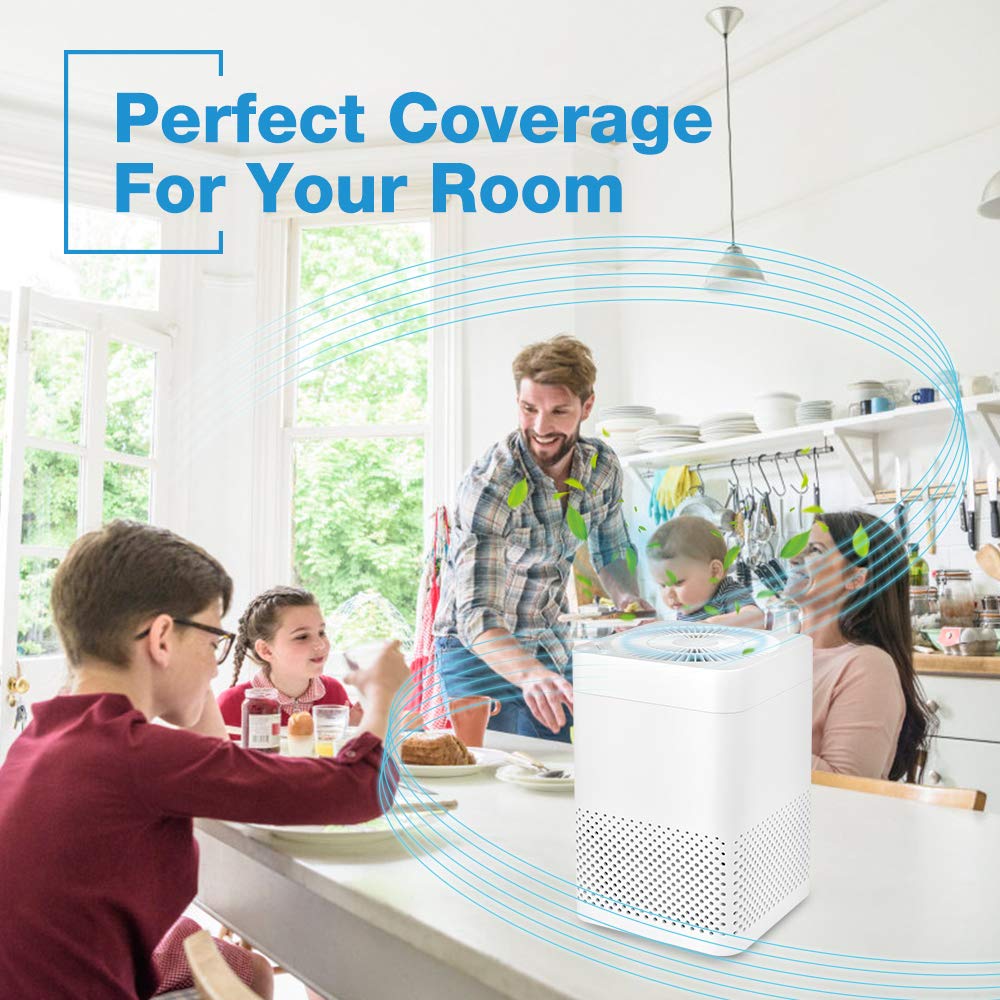 Replacement Filters - True HEPA Replacement Filter with Ions Filter for Pet Dander, Household Odor, Smoke & Dust
