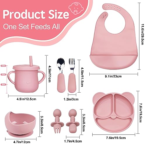 Silicone Baby Feeding Set 10 Pack, Baby Led Weaning Supplies with Suction Bowl Divided Plate, Toddler Self Feeding Dish Set with Bib and Plate, Spoon and Fork, Nipple and Teether, Sippy Cup and Lid