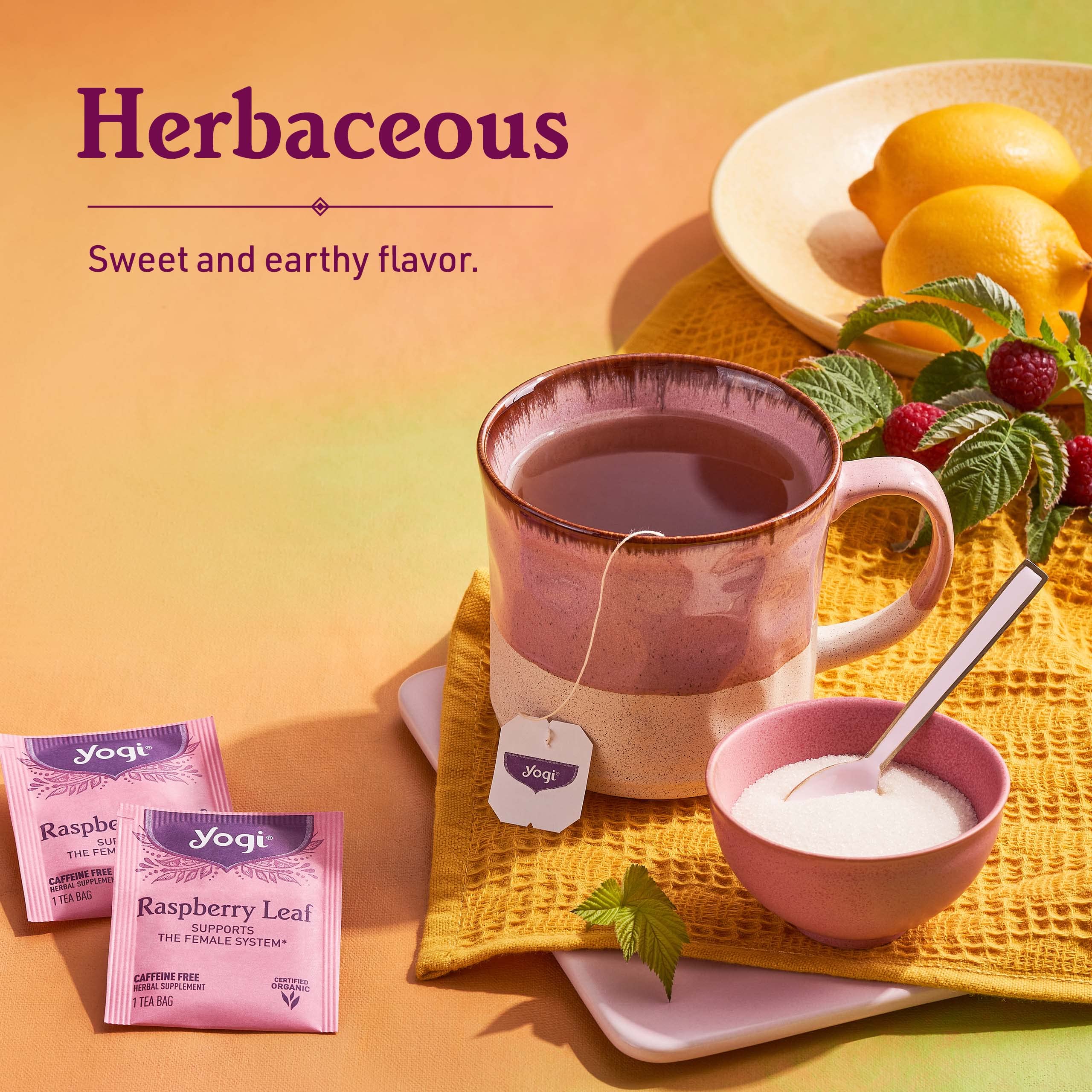 Yogi Tea - Raspberry Leaf Tea (6 Pack) - Supports the Female System - Uterus Support for Pregnancy and Menstruation - Caffeine Free - 96 Organic Herbal Tea Bags
