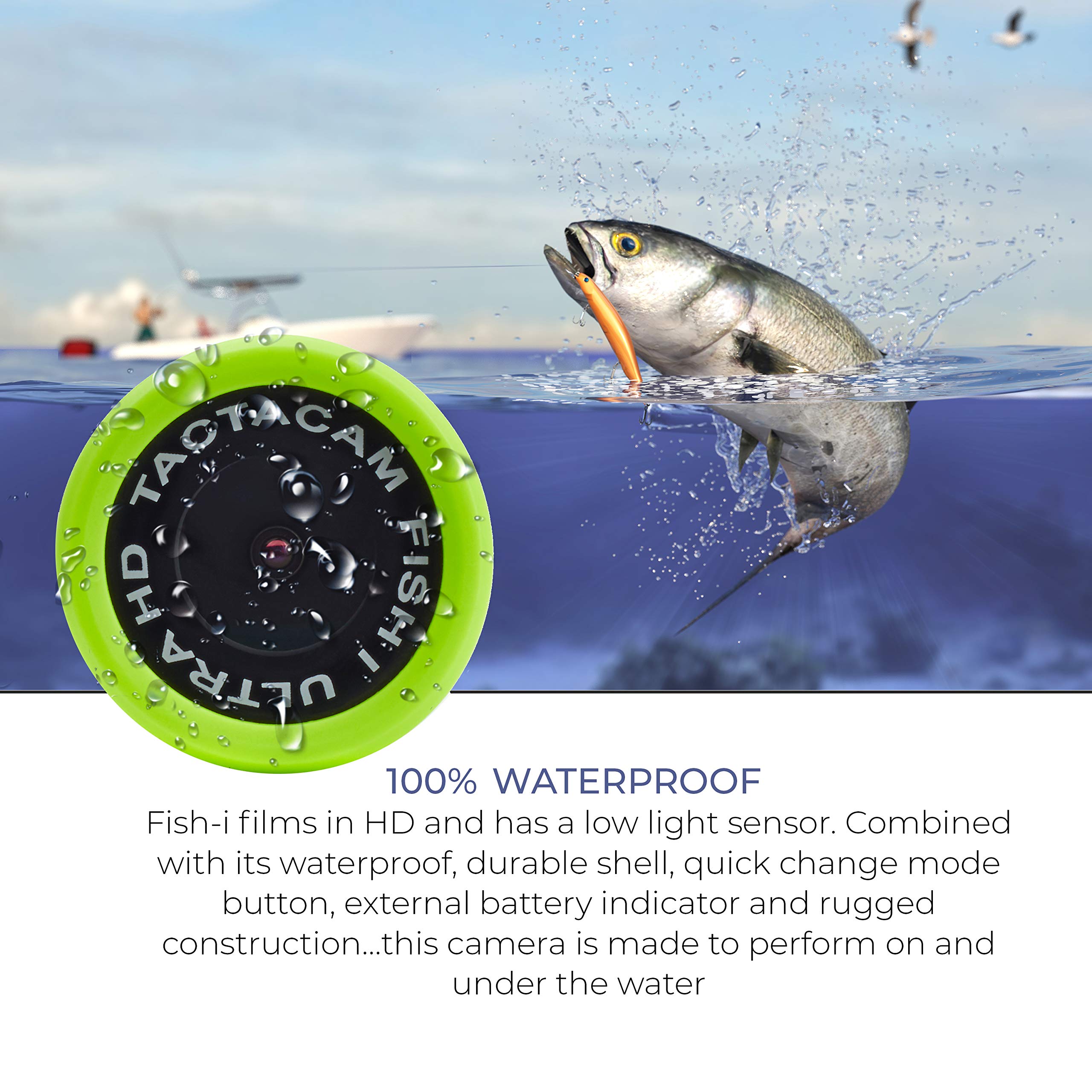 TACTACAM Fish-i Wide Lens Fishing Action Camera + Head Mount and Universal Mount Adapter