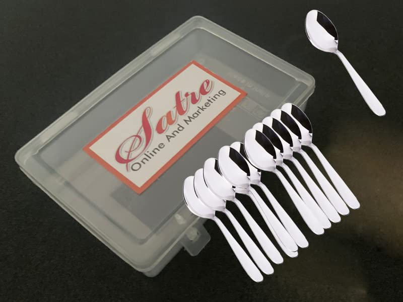 SLNDOKTG Stainless Steel Spice Box Spoons Set of 12 (Silver)