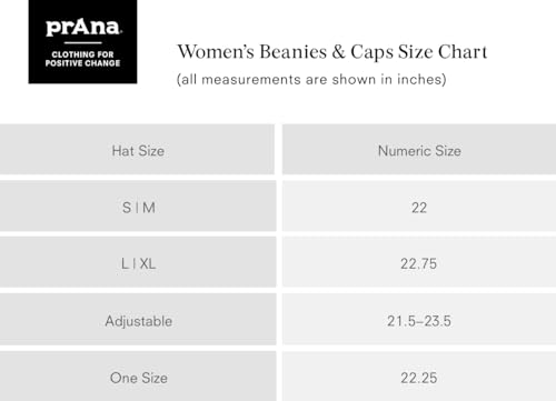 prAna Journeyman Trucker, Charcoal Haulin, One Size