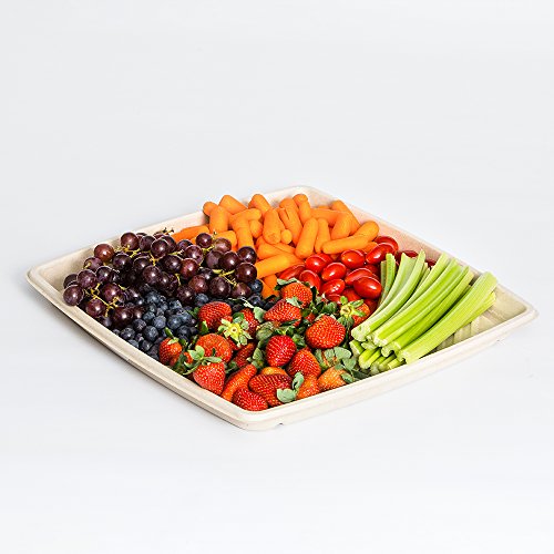 Sabert Terrapac Natural, Eco-Friendly Square Food Platter Tray, 16 x 16 Inch | 25/Case