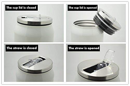 Travel Mug 10.3 Ounce Stainless Steel Vacuum Cup, Oh For Fucks Sake Coffee Mug or Office Tea Cups