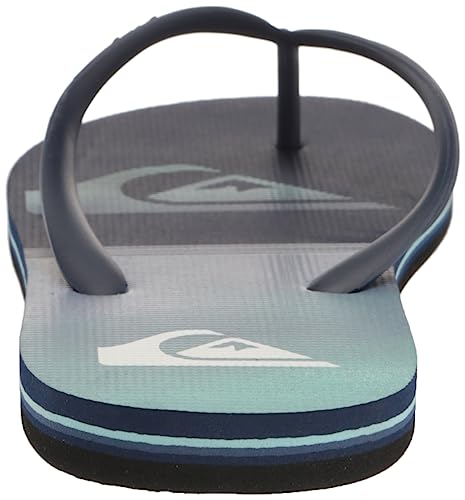 Quiksilver Men's Molokai Art Flip Flop Sandal, Blue/Blue/Green 233, 11