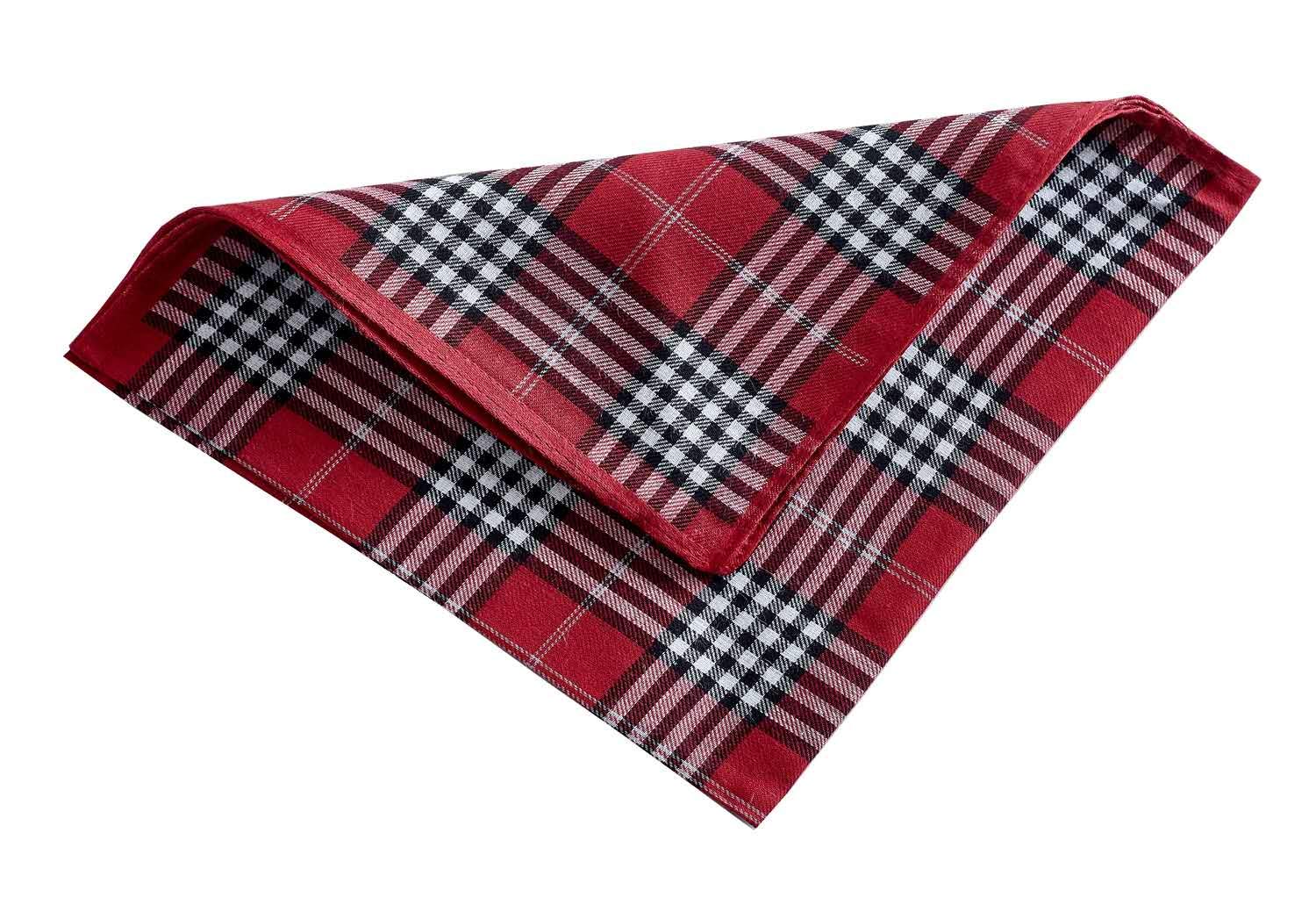 RDS HANKYTEX Men's Handkerchiefs 100% Cotton Checker Pattern 6 Pieces …