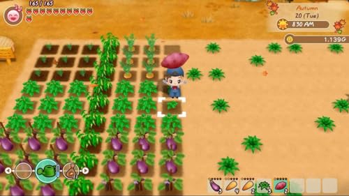 Story of Seasons: Friends Of Mineral Town (PS4)