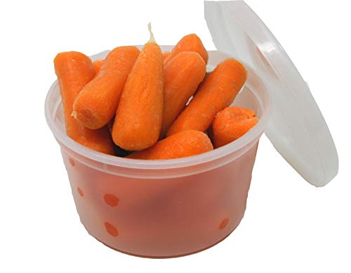 Vito's Famous Deli Container with Lid, 8 Ounce (Pack of 40) | Leak proof | Freezer safe