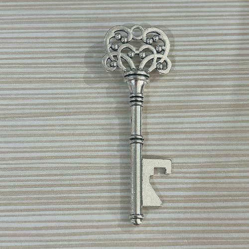 Toporchid Key Portable Bottle Opener Beer Bottle Can Opener Hangings Ring Keychain Tool(silver)
