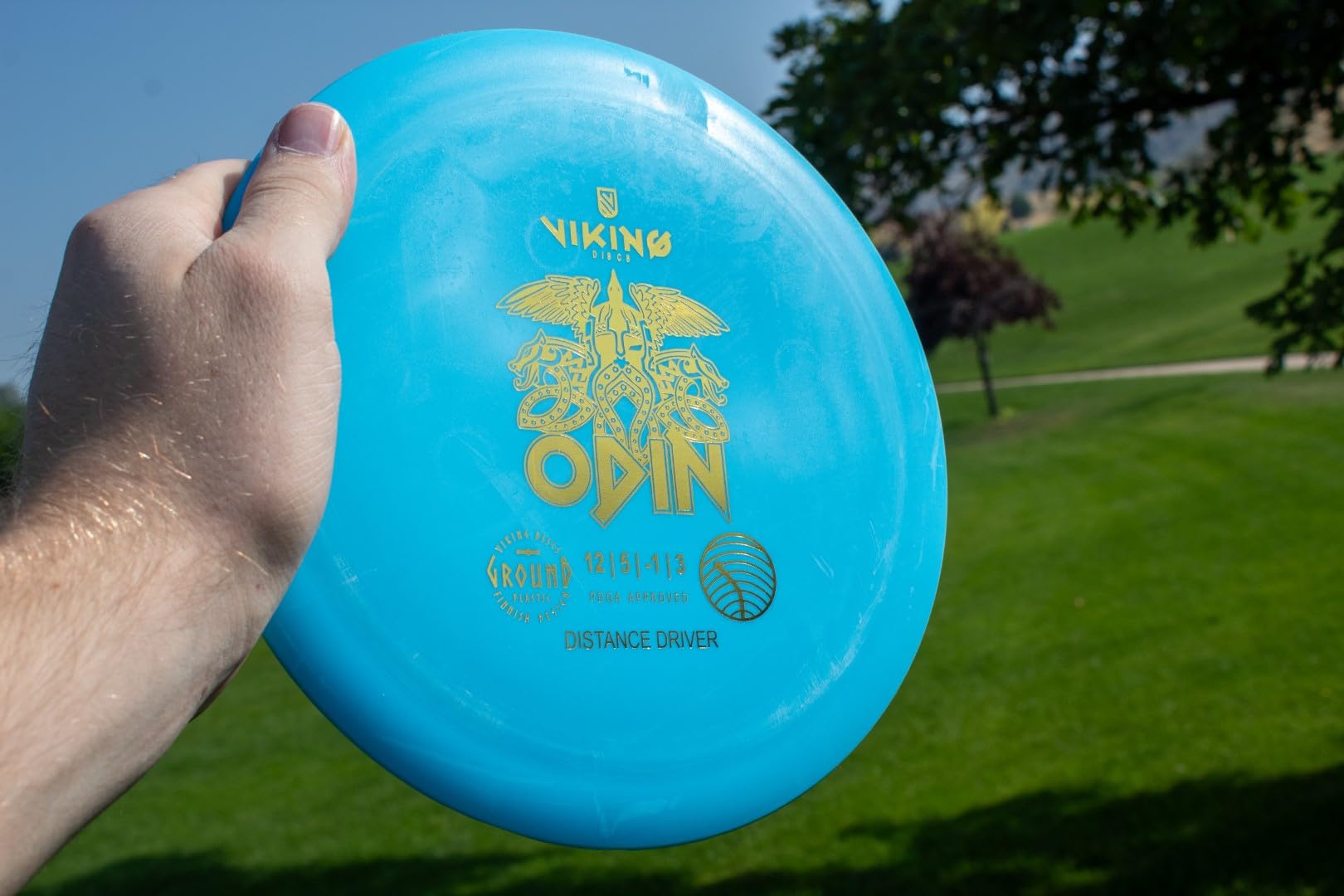Viking Discs Odin Ground Plastic | Distance Driver | Advanced Disc Golf Driver [Stamp Color & Color Shade May Vary] (170-172g, Blue)
